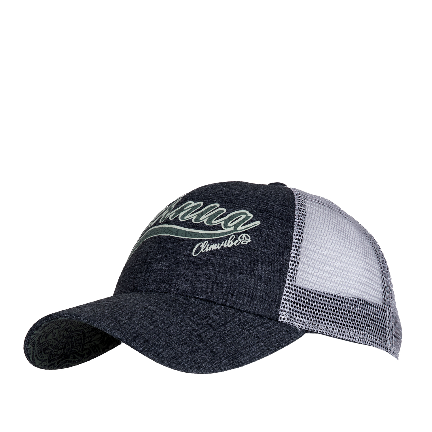 Кепка Ternua Bolt On Cap Whales Grey/Deep Forest