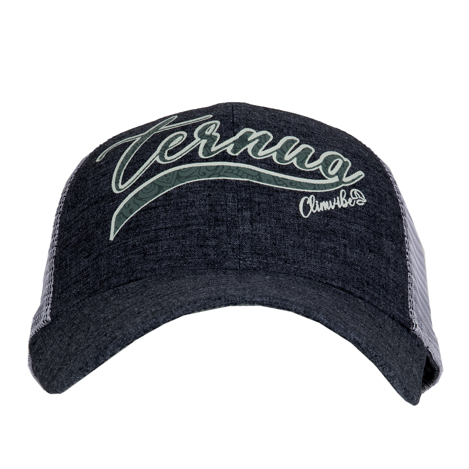 Кепка Ternua Bolt On Cap Whales Grey/Deep Forest