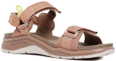 Ecco X Trinsic